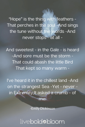 25 Beautiful Poems About Life