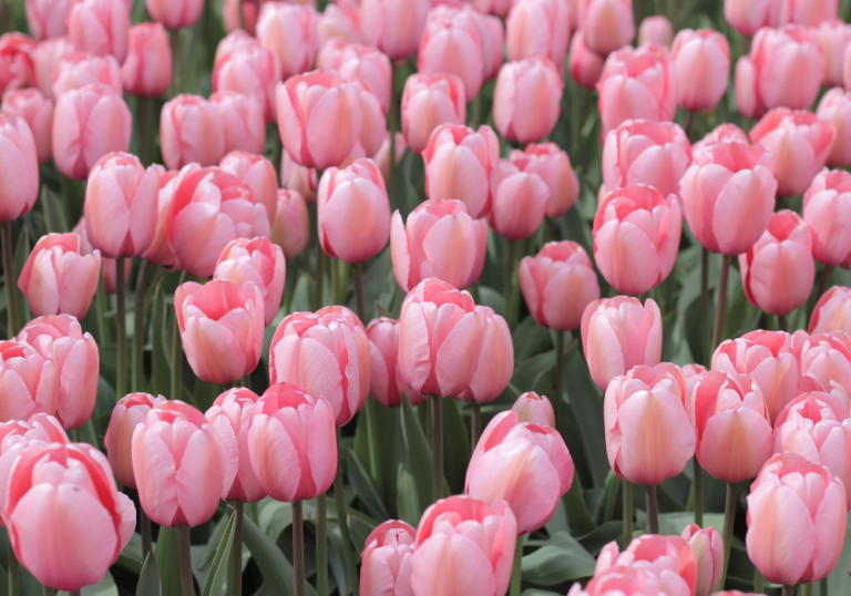 What Your Favorite Color Says About Your Personality